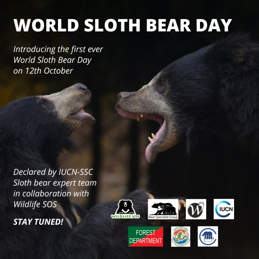 最新消息內頁-台灣黑熊保育協會｜TBBCA